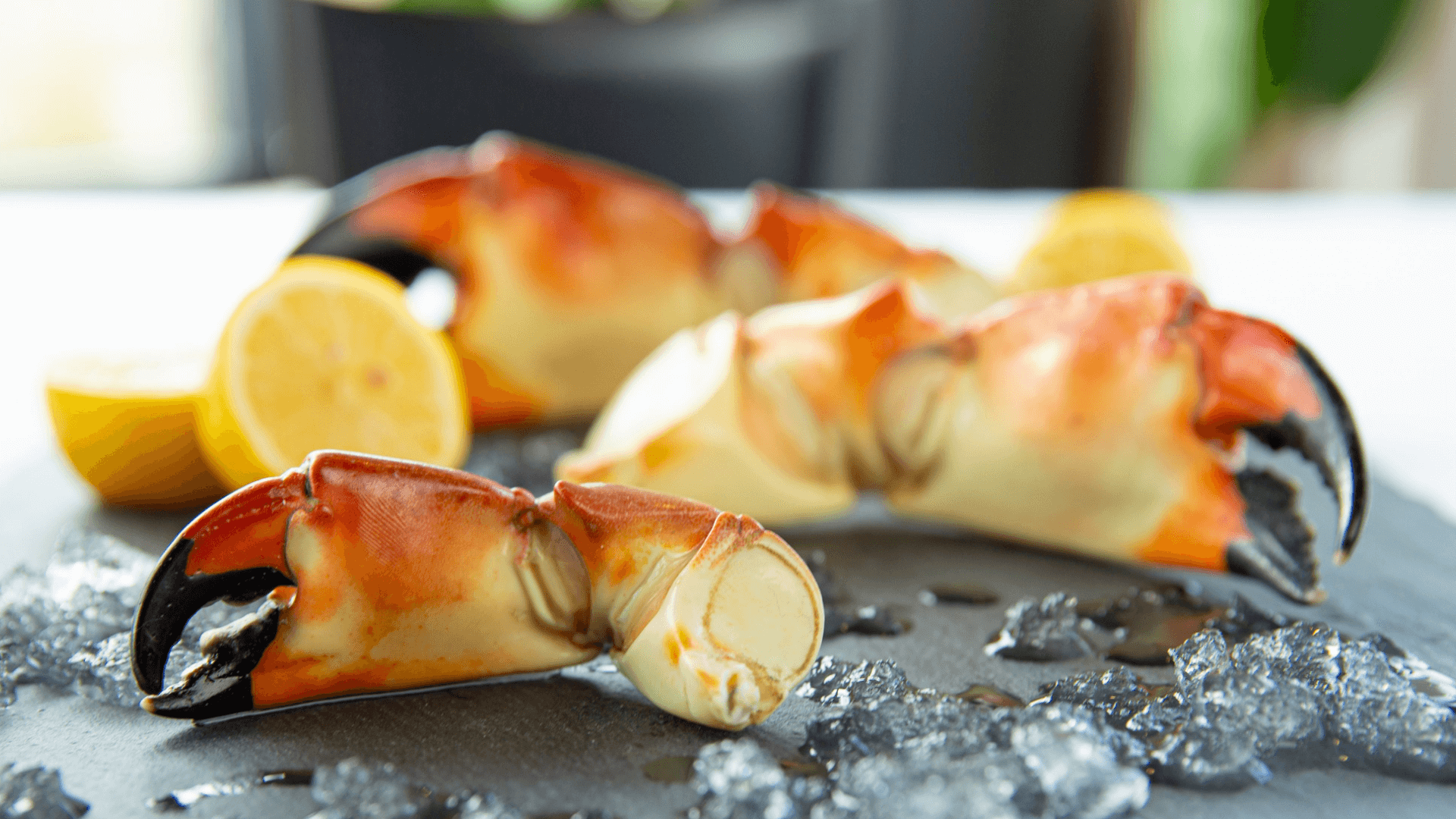 Sustainable Sourcing, Sensational Plating - Trulucks