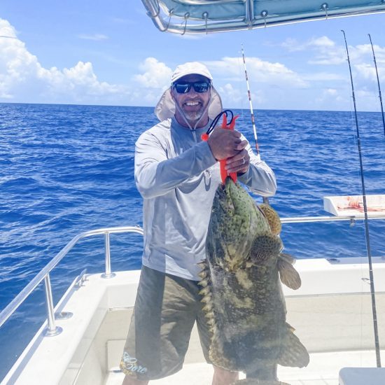 Purveyors of Amazing: Ken Allen - Trulucks