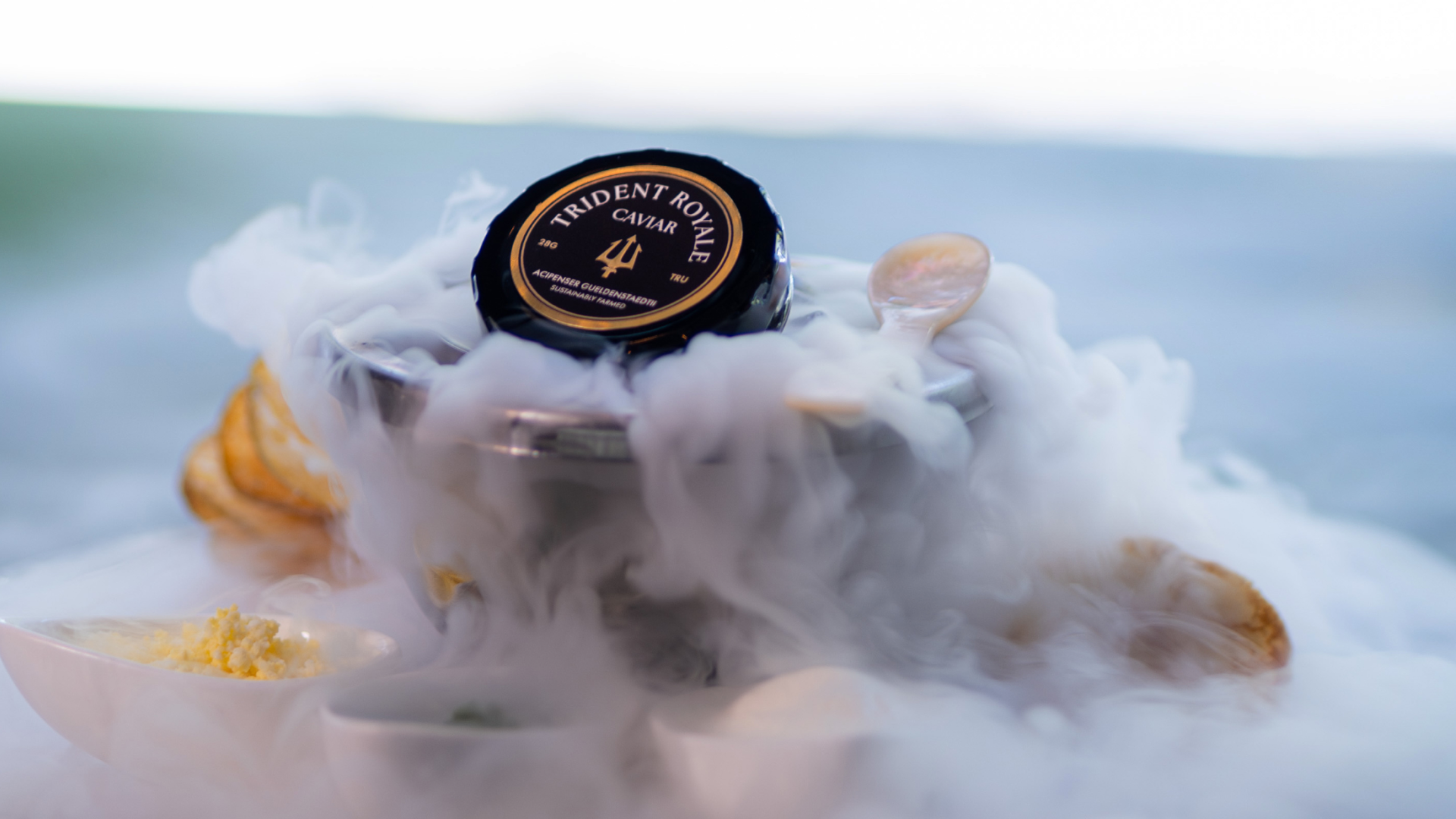 5 Private & Group Dining Event Tips from Truluck’s Event Planners ...